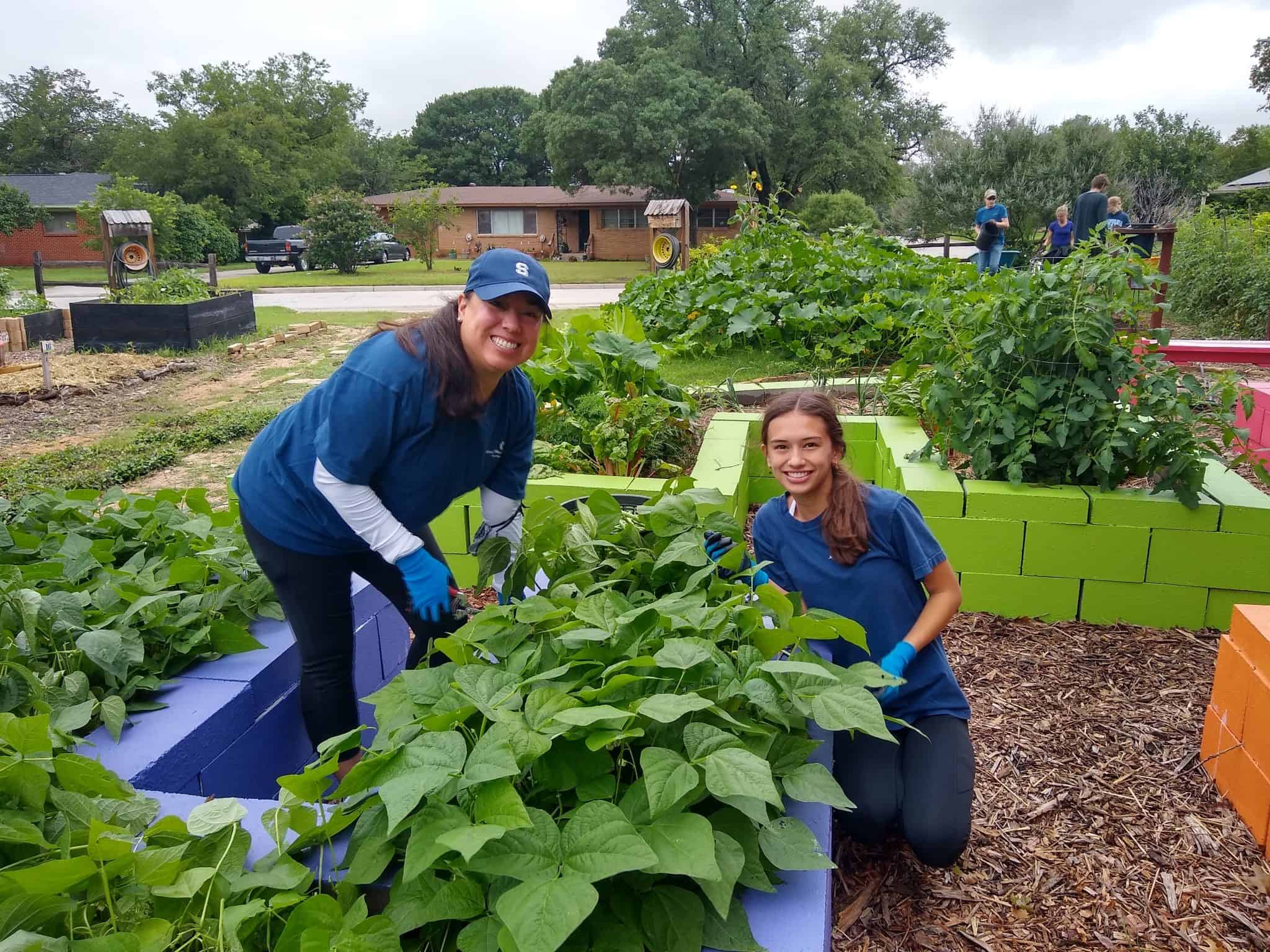 Our Programs - Tarrant Area Food Bank